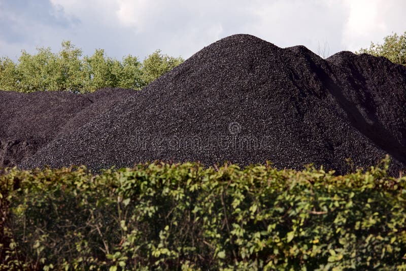 Coal from the Trees and Orange Flame in the Fire Stock Image - Image of ...