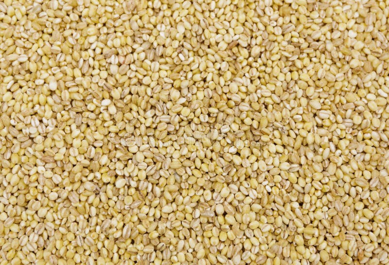 Heap of coixseed stock photo. Image of rice, cook, seeds - 35219204