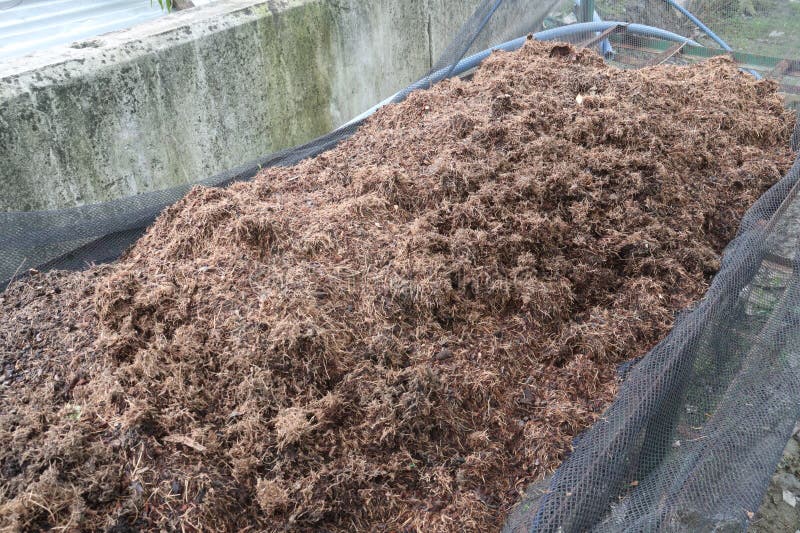 Heap of Compost Fertilizer on Field Stock Image - Image of instrument ...