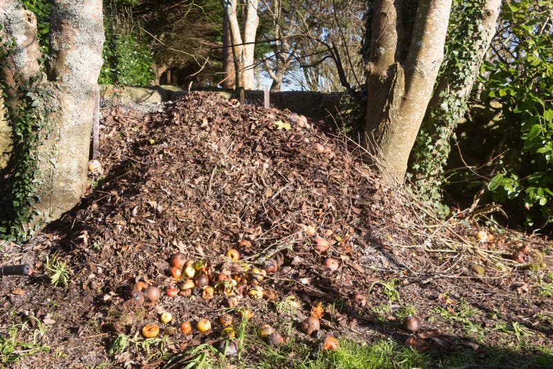 Heap of Compost in a Garden Stock Image - Image of organic, peel: 209197827