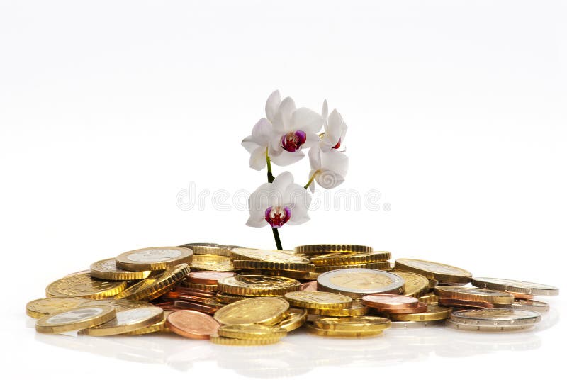 Heap of Couns with a Flower Stock Photo - Image of economic, cash: 18527804