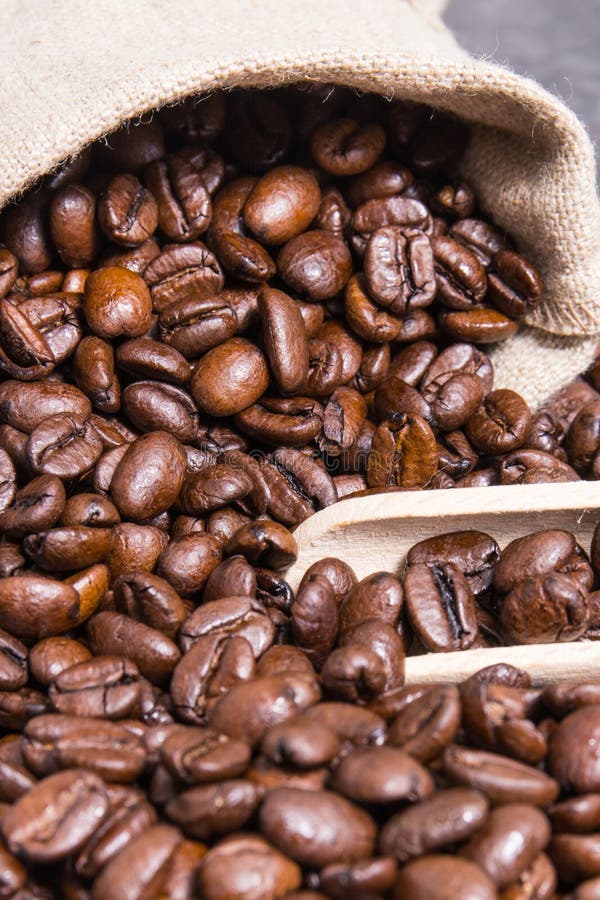 Heap of Dark Roasted Coffee Grains in Jute Bag Stock Image - Image of ...
