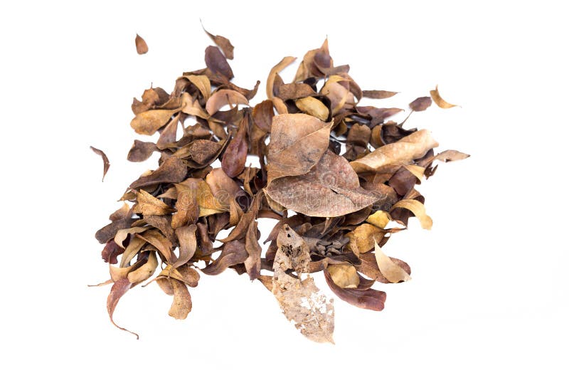 171 Pile Dead Leaves Isolated Stock Photos - Free & Royalty-Free Stock ...