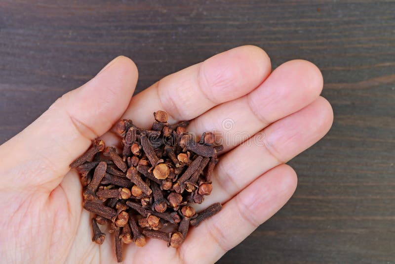 Heap of Dried Cloves in Hand on Black Wooden Backdrop Stock Photo ...