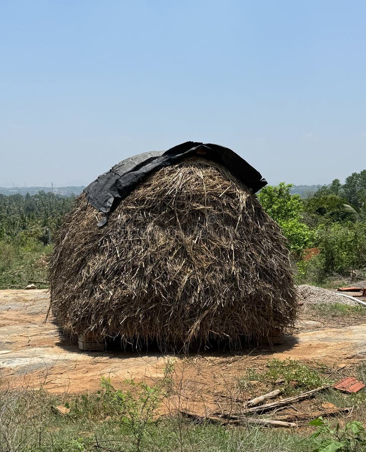 Heap Dried Grass Cattle Feed Stock Photos - Free & Royalty-Free Stock ...