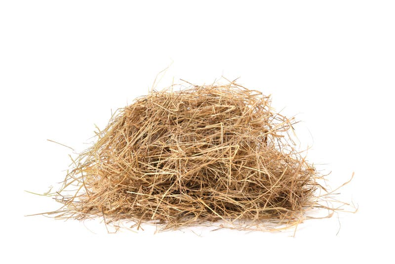 Heap of Dried Hay on White Background Stock Image - Image of ...