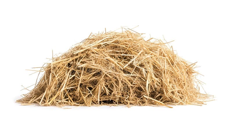 Heap of Dried Hay on White Background Stock Photo - Image of rustic ...