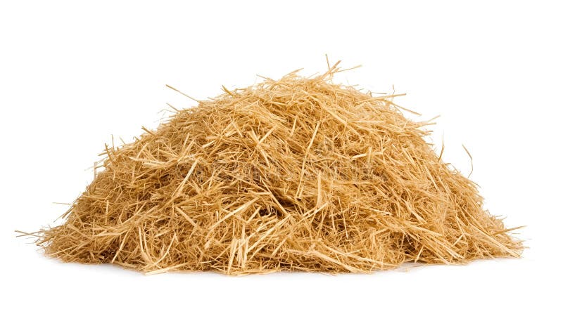 Heap of Dried Hay on White Background Stock Image - Image of organic ...