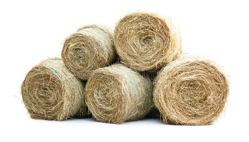 Heap of Dried Hay on White Background Stock Image - Image of rustic ...