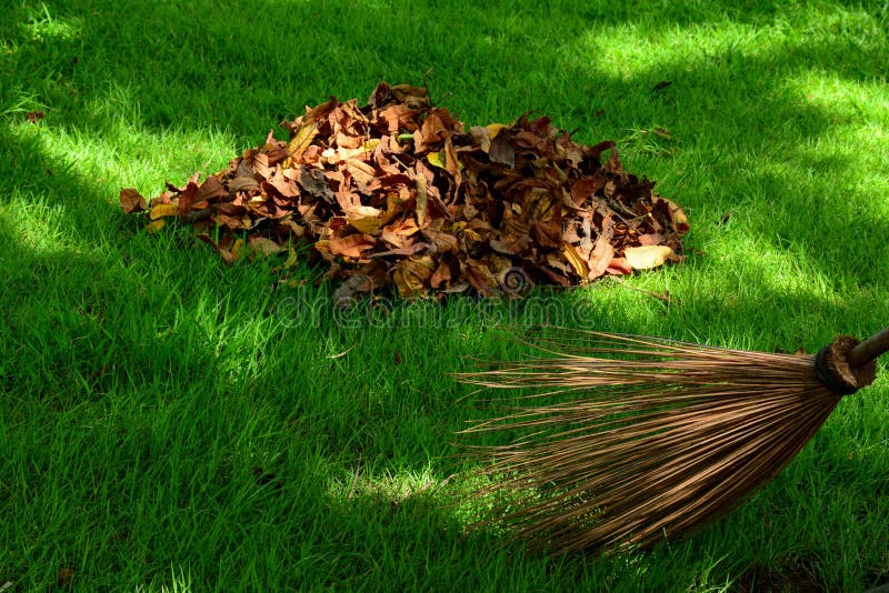 Heap of Dry Leaves in Autumn Time. Stock Image - Image of yellow ...