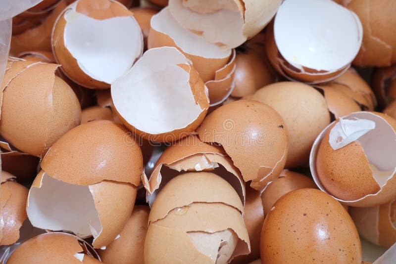 Heap of Eggshell in Plastic Bag Stock Image - Image of shell, calcium ...