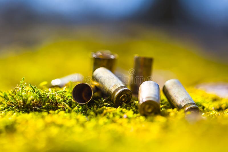 Empty Gun Shells Lie in Grass Stock Photo - Image of shells, closeup ...