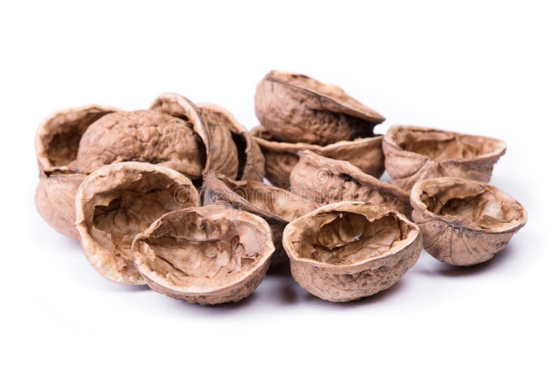 1,127 Empty Nutshell Stock Photos - Free & Royalty-Free Stock Photos ...