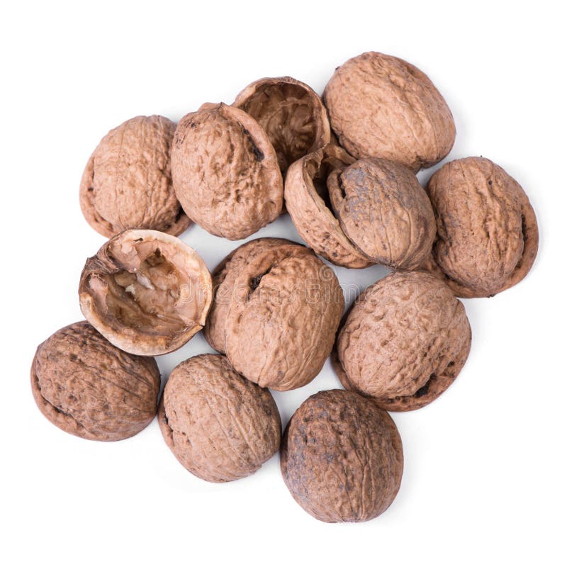 1,054 Empty Nutshell Photos - Free & Royalty-Free Stock Photos from ...