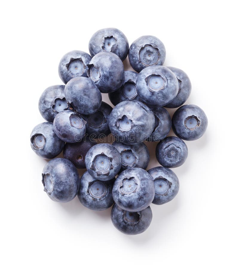 Blueberries stock image. Image of ingredient, snack, sweet - 8103281