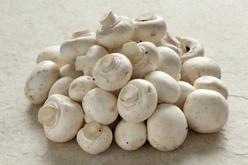 Heap of Fresh Button Mushrooms Stock Image - Image of mushrooms ...