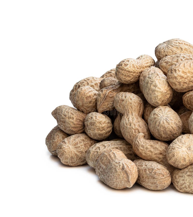 Heap of Fresh Monkeynut Isolated on White Stock Photo - Image of pile ...