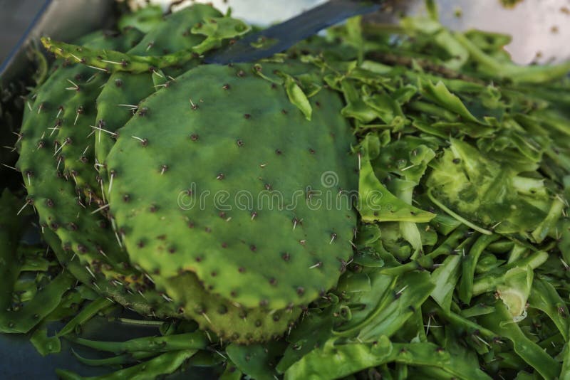 Heap of Fresh Nopal Leaves, Closeup View Stock Photo - Image of ...