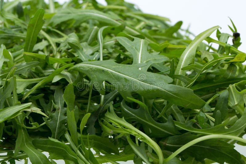 Heap of Fresh Ruccola Leaves Stock Photo - Image of salad, delicious ...
