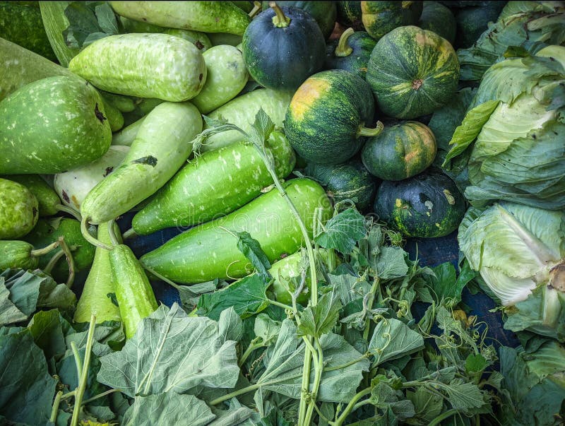Heap of Gourds, Green Pumpkins, and Cabbage at the Market Stock Image ...