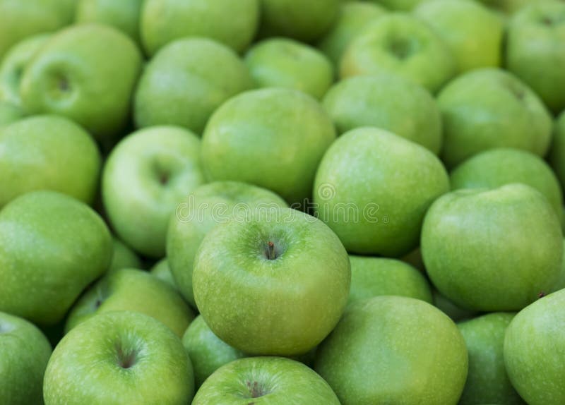 Heap Green Apples. Fall Harvest Selective Focus Stock Image - Image of ...