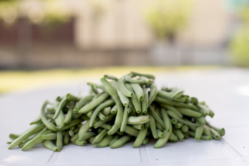 A heap of green beans stock image. Image of vegetable - 101239461