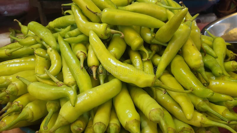 A heap of green chilli stock image. Image of herb, citrus - 199867833