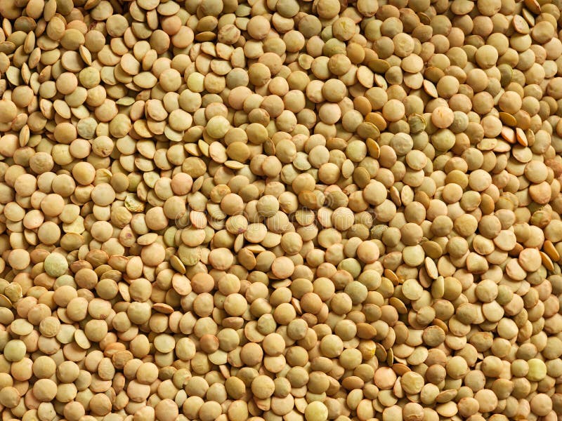 Heap of Green Lentil Grains Background Stock Image - Image of ...