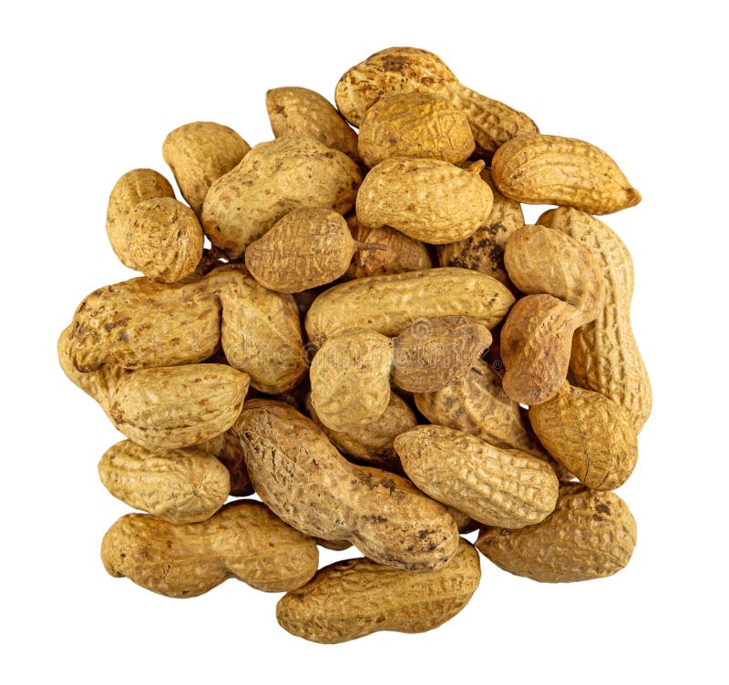 Raw Groundnuts Isolated stock image. Image of groundnut - 6390765
