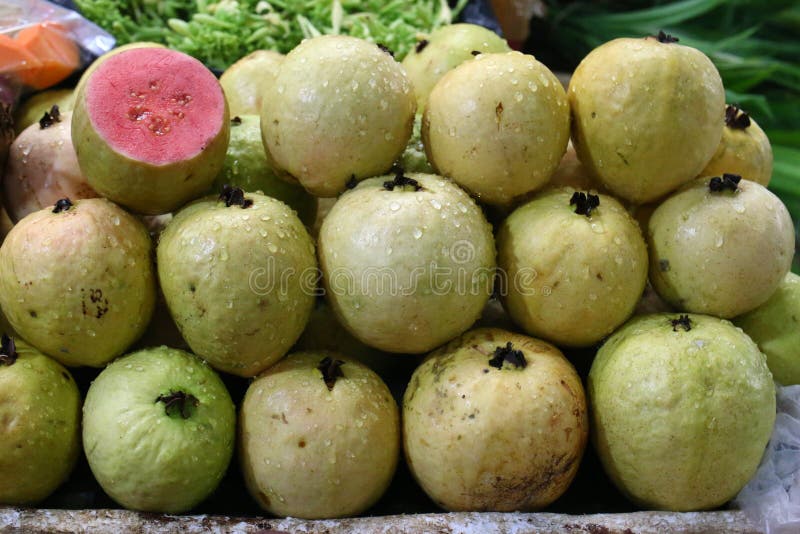 Heap of guava fruits stock photo. Image of green, tree - 258353476