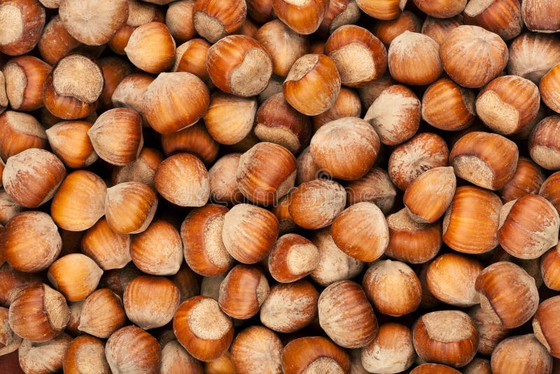 Natural Texture With Hazelnut Color And A Pattern Of Horizontal Stock ...