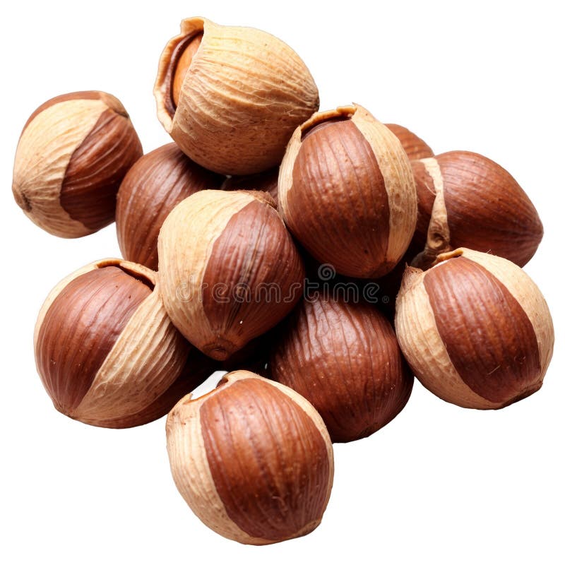 Heap of Hazelnuts in Shells, Isolated on White Background, High ...