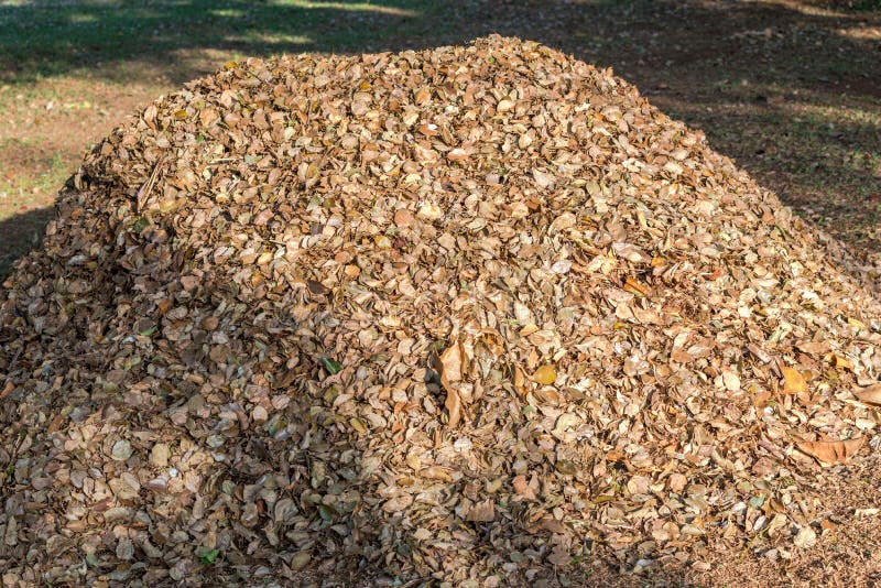 A Heap of Leaves Fall in the Gardens. Stock Photo - Image of people ...