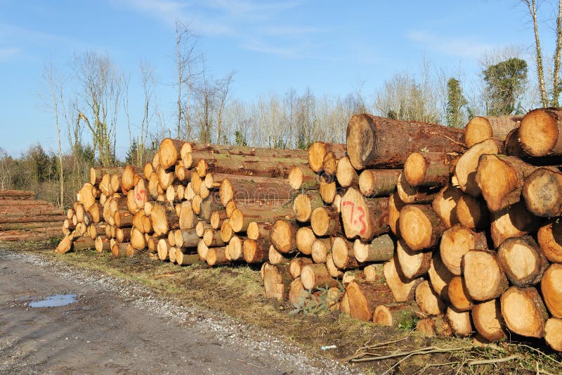 Heap of logs stock photo. Image of destruction, brown - 18627840