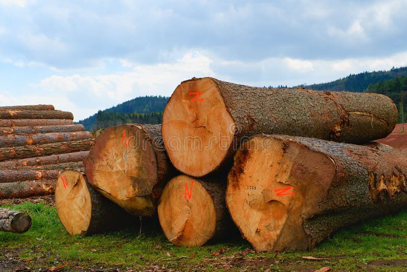 The Heap of Logs. Logging Station, Texture Background Stock Photo ...