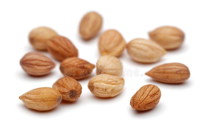 Heap of Mahlep or Mahaleb Seeds Isolated Stock Photo - Image of ...