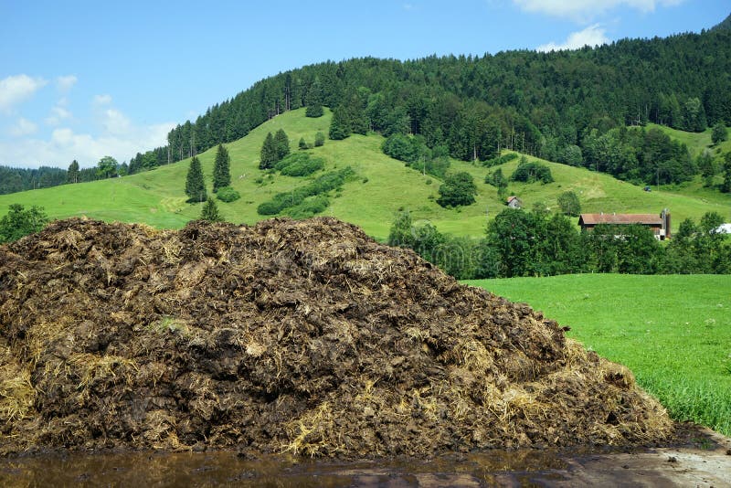Heap of manure stock photo. Image of compost, agriculture - 163745678