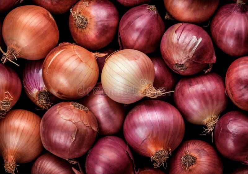 Heap of Onion, Top View with Copy Space Stock Photo - Image of ...