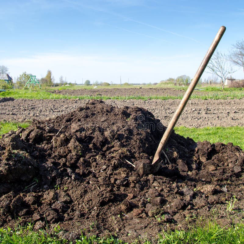 Compost Heap stock photo. Image of ecology, environmental - 9309732