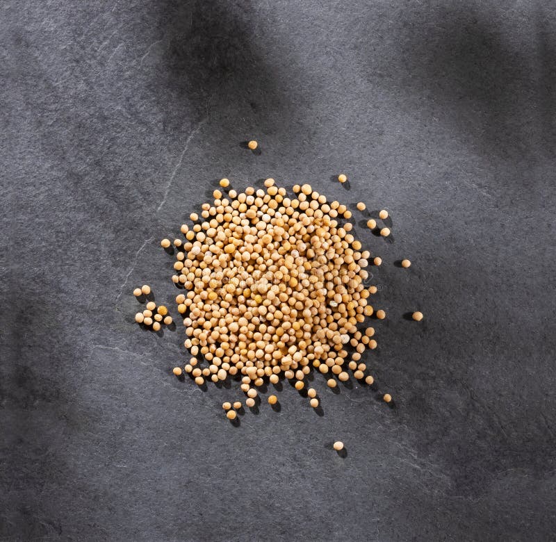 Heap of Organic Mustard Seeds - Sinapis Alba Stock Photo - Image of ...