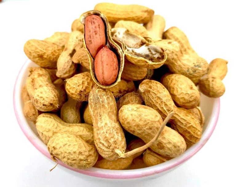 Ground nut image stock photo. Image of nuts, heap, ground - 300457642