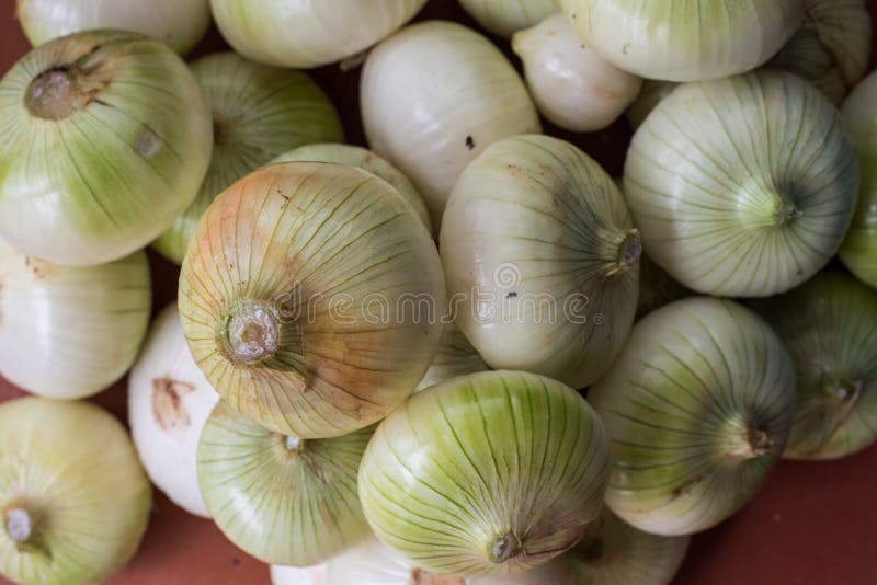 Heap of peeled onions stock image. Image of heap, gourmet - 169794367