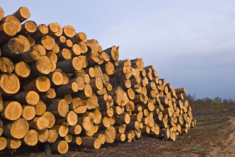 Timber Log stack stock image. Image of logging, woodpile - 24284543
