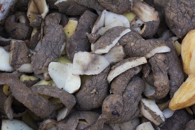 967 Potato Skin Texture Photos - Free & Royalty-Free Stock Photos from ...