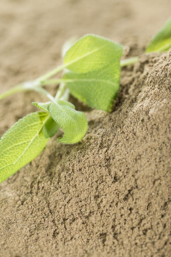 Heap of Powdered Sage stock image. Image of herbal, officinalis - 42736143