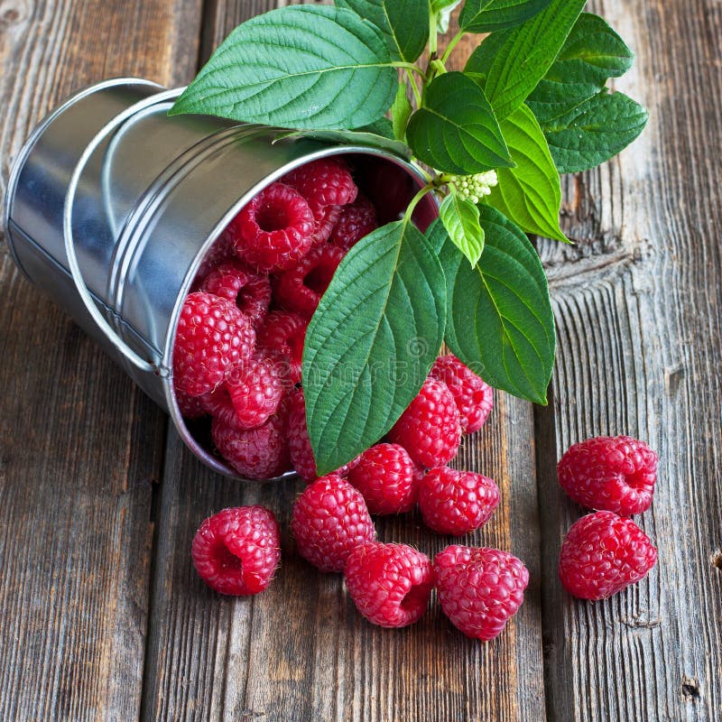Heap of Raspberry in Bucket Stock Photo - Image of fruit, healthy: 76859822
