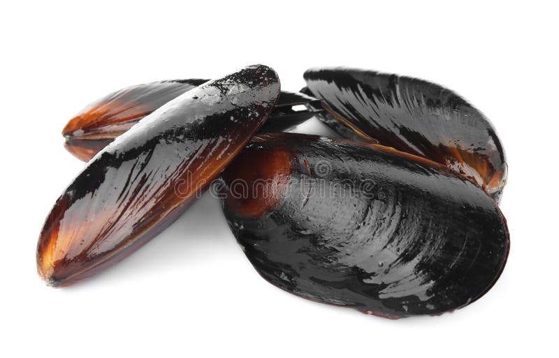 Heap of Raw Mussels in Shells on White Background Stock Image - Image ...