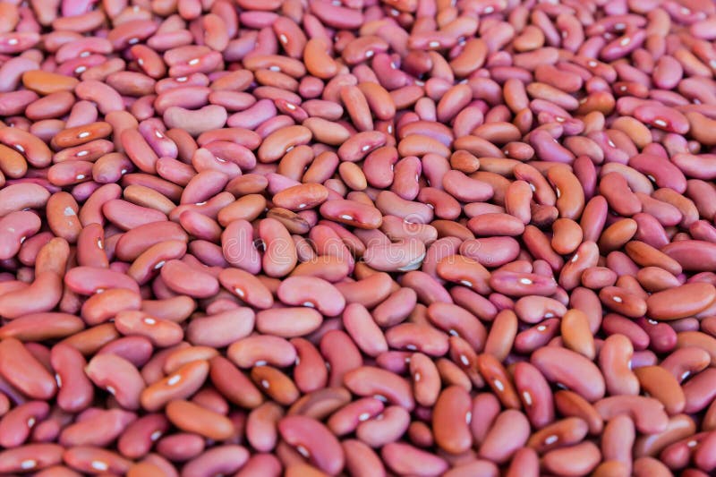 Heap of Raw Shelled Dried Kidney Beans, Selective Focus Stock Photo ...