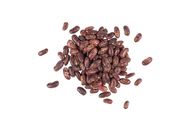 Fresh Bean Sprouts with Roots that Have Not Been Removed Stock Image ...