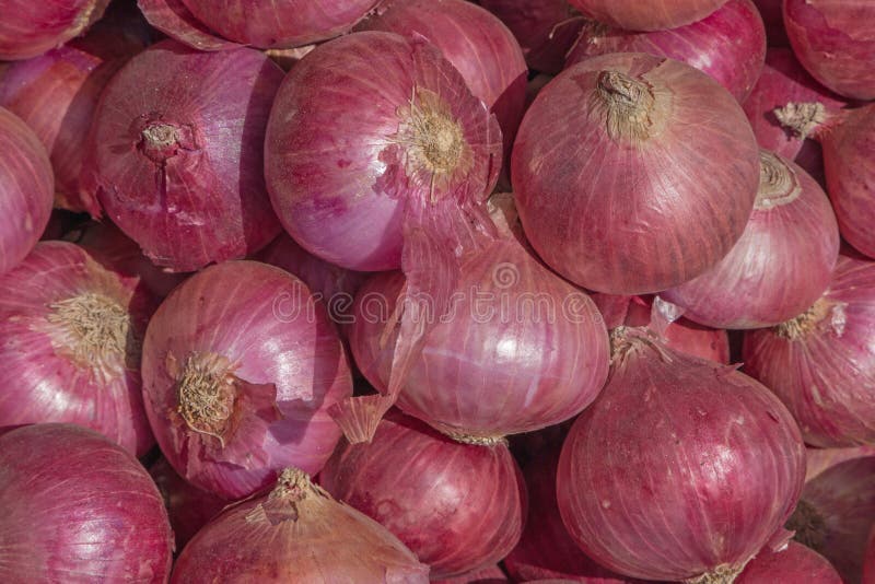 Heap of red onions stock image. Image of vegetable, market - 140108643